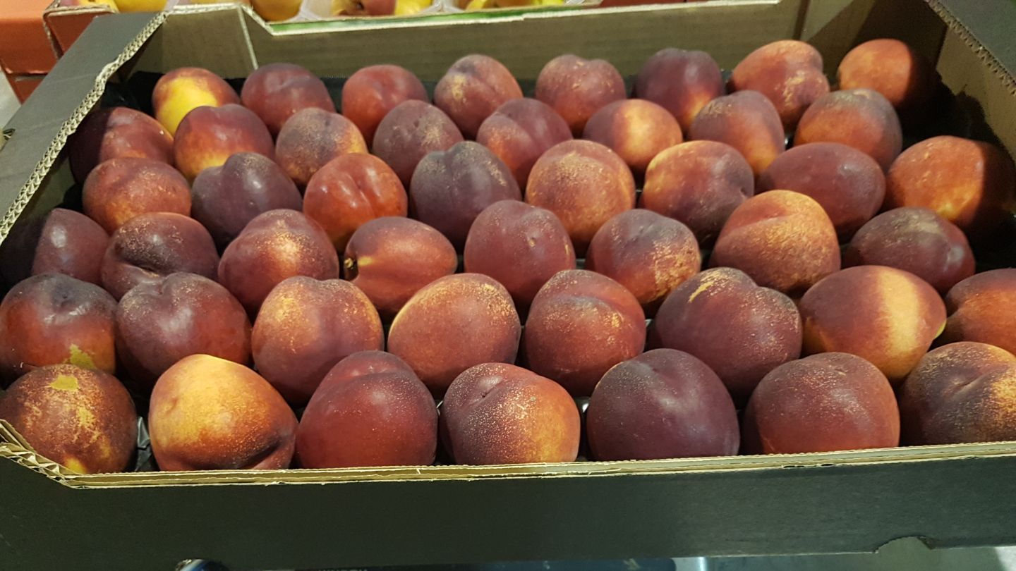 Nectarinas – NECTALIA